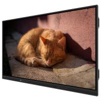 China 75 Inch OEM ODM Multi-functional Smart Board NFC interactive flat panel for sale