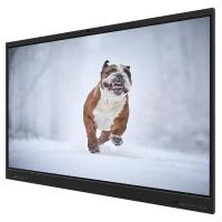 China 75 Inch OPS Teaching Board Dual System 50 Points USB HDMI TYPE-C Monitor for sale