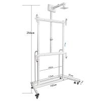 China Carbon Steel Interactive Whiteboard Stand 100kg Load Capacity for sale