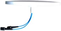 China 2T2R MIMO 698-4000MHz Slim Omni Antenna with 50W Power Handling and Ø220x25mm Dimensions for sale