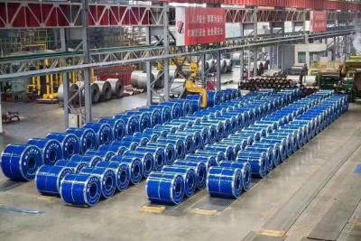 China Stainless Steel Coil/ Stripe for Grade 304 310S 316L 321 317L 2507 904L 2205 304L 201 316ti 347H Buildi for sale