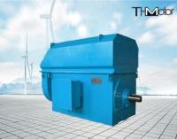 China IP23 Energy Saving Low Noise 100rpm to 3000rpm High Voltage Electric Motors 50Hz 10KV for sale