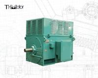 China 1400kw High Voltage Electric Induction Motors Three Phase Asynchronous Motor 100rpm-3600rpm for sale