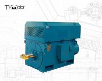 China YRKK Wound Rotor Three Phase Asynchronous Motors 3kv-11kv for sale