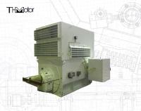 China WPI WPII Series Three-Phase Induction Motors for Industrial Use for sale
