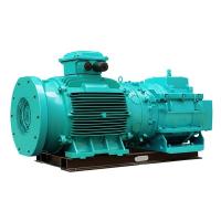 China YK5000-2 High Voltage Motor 5000kW 10kV 50Hz for sale