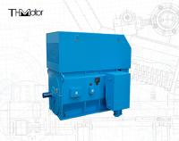 China 20000kw High Voltage AC Motor Three-phase induction motor with 160-20000kW power range and H355-1400 frame size for sale