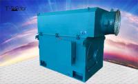 China 400kw to 6000kw YXKK 560 Kw High Pressure 3 Phase Squirrel Cage Motor 596r/Min for sale