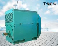 China Y800 Series Water Pump Electric Induction High Voltage Electric Motors H710-1000 for sale