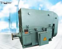 China IP44 High-Voltage Permanent Magnet Synchronous Motor 400-15000kw 3kv-11kv 100-300r/min for sale