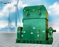 China TAW 10000V AC Brushless Synchronous Motor For Coal Mill Cement 1000r/Min for sale