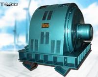China TXZ Large Brushless Synchronous Motor 400-15000kw 3kv-11kv with Big Starting Torque for Mining and Cement Industry for sale