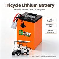 China Three Wheeled Electric Tricycle Battery 100ah 200ah 48V 60V 72V 96V Golf Cart Lithium Ion Battery for sale