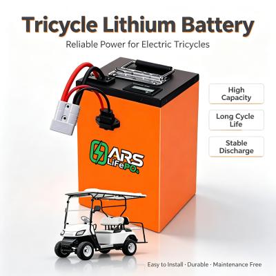 China Three Wheeled Electric Tricycle Battery 100ah 200ah 48V 60V 72V 96V Golf Cart Lithium Ion Battery for sale