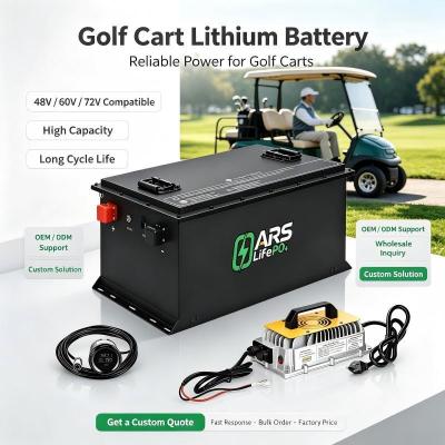 China 100Ah 150Ah 200Ah 300Ah Lithium Golf Cart Batteries 36V 48V 51.2V 60V 72V Lifepo4 Pack for sale