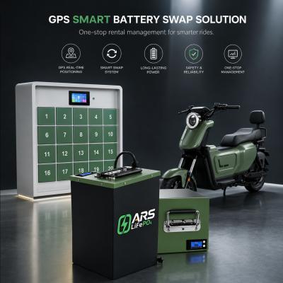 China Custom 48V 60V 72V LiFePO4 Battery for Wenbox 350 E-bike Scooter Motorcycle for sale