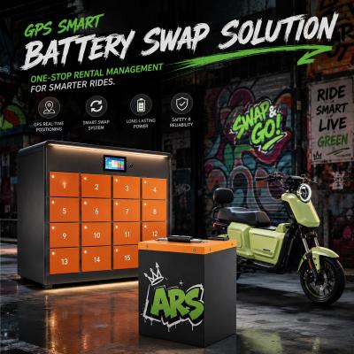 China Custom 48V 60V 72V LiFePO4 Battery for Wenbox U7 E-bike Scooter Motorcycle for sale