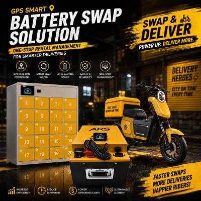 China Custom 48V 60V 72V LiFePO4 Battery for Strong UB E-bike Scooter Motorcycle for sale