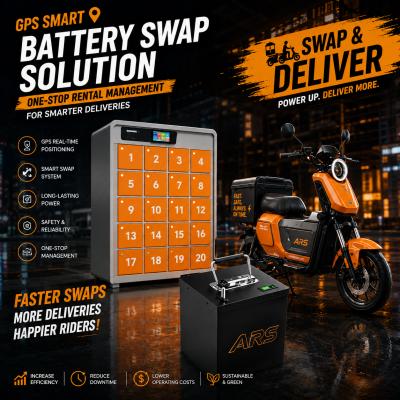 China Custom 48V 60V 72V LiFePO4 Battery for Strong 350 E-bike Scooter Motorcycle for sale