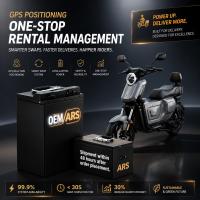 China Custom 48V 60V 72V LiFePO4 Battery for LIMING U2 E-bike Scooter Motorcycle for sale