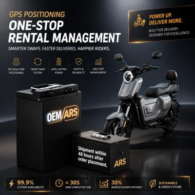 China Custom 48V 60V 72V LiFePO4 Battery for LIMING U2 E-bike Scooter Motorcycle for sale