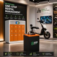 China Custom 48V 60V 72V LiFePO4 Battery for LIMING 350 E-bike Scooter Motorcycle for sale