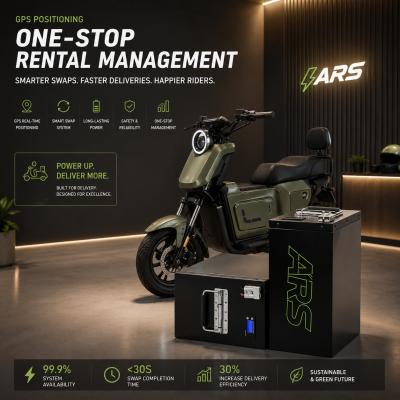 China Custom 48V 60V 72V LiFePO4 Battery for LIMING 720 E-bike Scooter Motorcycle for sale
