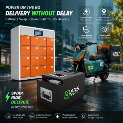 China Electric Bike Battery for Strong U2 60V 40Ah LiFePO4 Lithium Replacement Battery for sale