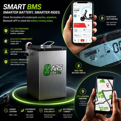 China 60V 45Ah LiFePO4 Electric Bike Battery for MINAKO MONSTER for sale