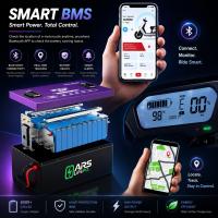 China High Capacity E-Bike Battery – 60V Lithium LiFePO4 Electric Bike Battery Pack for sale
