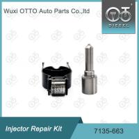 China 7135-663  Injector Repair Kit Nozzle-Valve Kit Nozzle-CVA Kit for sale