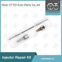 China F00VW30112 Injector Repair Kit For Injector 0445110581 Injclude Nozzle F00VW30112 for sale