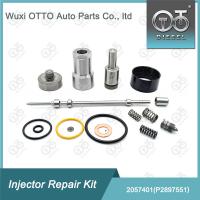 China Diesel Fuel Injector Overhaul Kit 2057401, Injector Repair Kit With Nozzle P2897551 for sale