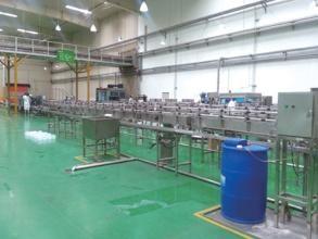 China RO Drinking Water Treatment Plant Auto Packaged Mineral Water Machinery 1000LPH for sale