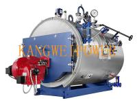 China Water Tube Industrial Steam Boiler Horizontal 30T to 50T OEM Custom Capacity for sale