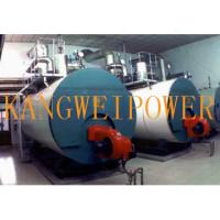 China Industry Biomass Coal Fired Steam Boilers Double Drum Chain Grate Combustion for sale