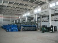 China 11000V Stationary Diesel Gas Engine Power Plant 1250-3500kW CCS BV Certified for sale