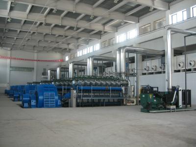 China 11000V Stationary Diesel Gas Engine Power Plant 1250-3500kW CCS BV Certified for sale