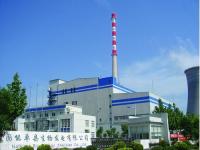 China Biomass Power Plant 1MW to 60MW Rice Husk Wood Straw Fuel Generator for sale