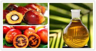 China Industrial Olive Oil Palm Oil Separation Decanting Centrifuge 450mm Bowl 3300 RPM VFD for sale