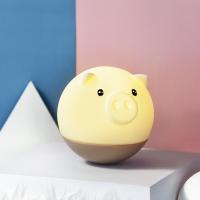 China European CE Certified Silicone Cartoon Nightlight Food-Grade Voice Control Intelligent sleep aid for sale