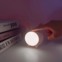 China 3 Color Bedside Night Light Temperture Cute Led Touch Usb Charging Stepless Dimming For Kids Bedroom for sale