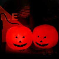 China Halloween Pumpkin Series Ghost Skeletons Bat Spider LED Holiday String Light for sale