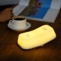 China USB Rechargeable ABS Night Light Gravity Sensor Lights Led On OFF Lamp For Kids Room for sale