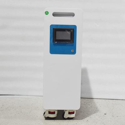 China Energy Storage Unit Solar Power Lithium Ion Lifepo4 Battery Outdoor Camping for sale