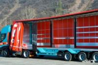 China Tailored Wosheng 3 Axle Side Curtain Semi Trailer with Dual Line WABCO Brake System for sale
