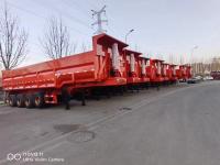 China Q345B/T700 Steel Main Beam Semi-Trailer for Diversified Rear Dump Tipper Tipping for sale