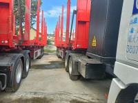 China 4 Axle WS Log Timber Transport Semi Truck Trailer for Wood Cargo Transportation for sale
