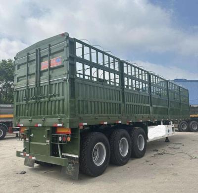 China 3 Axles Semi Trailer Fence Cargo Trailer with Rim 8.00-20 and King Pin 3/5