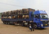 China Sale Customized 3 Axles 20-40tons High Fence Semi Trailer for Livestock Farm Animals for sale